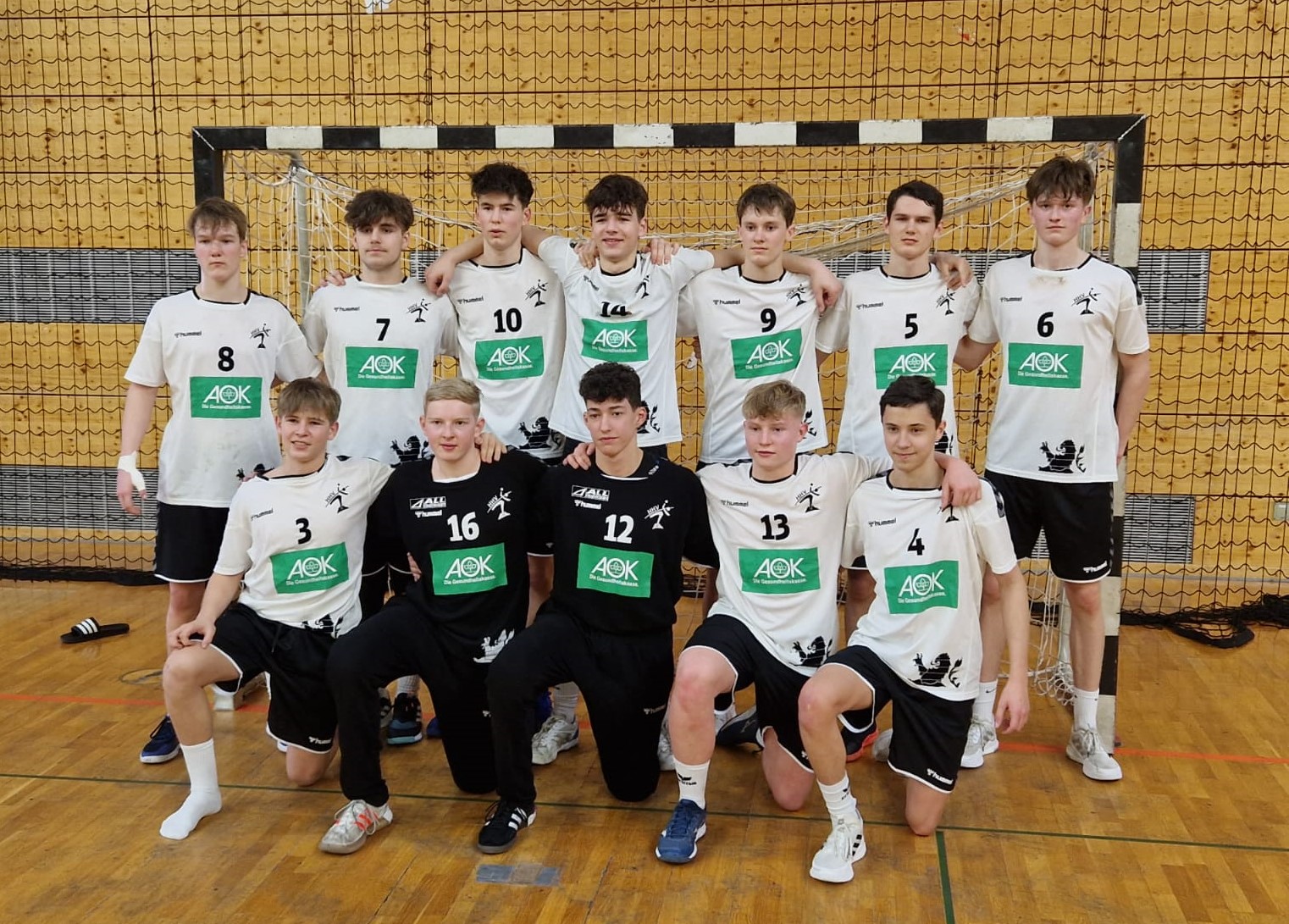DHB-Sichtung in Heidelberg - Wir sind Handballhessen